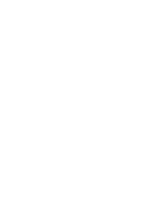 Control Units | Falcom